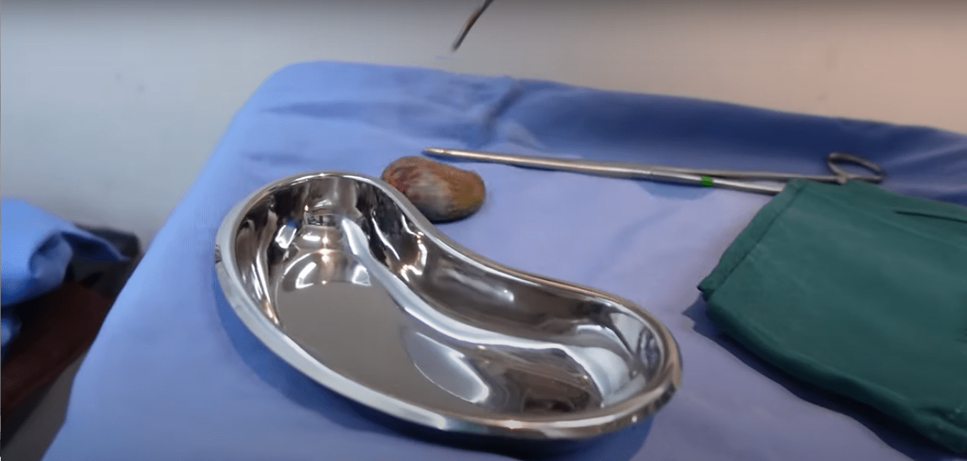 Surgeries – Doc Ferds Animal Wellness Center
