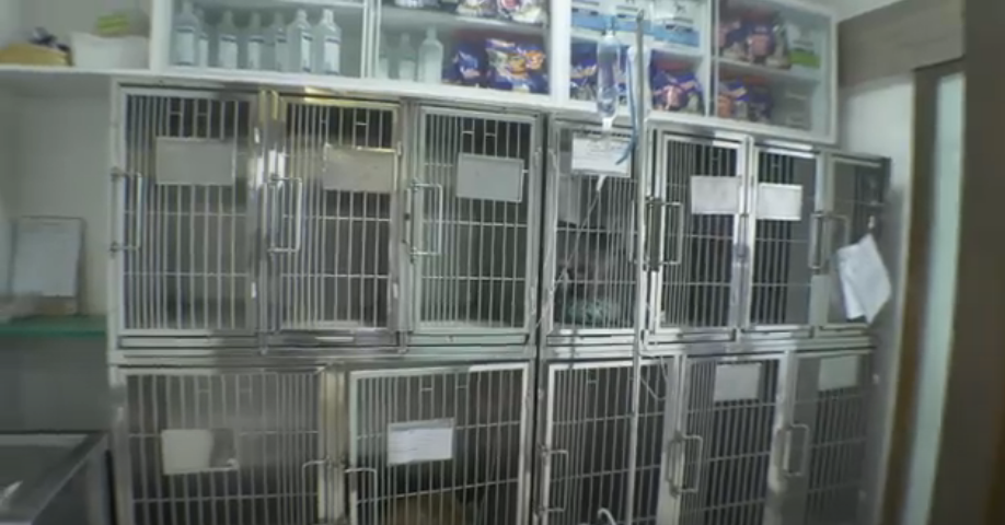 Doc Ferds UP Town Center – Doc Ferds Animal Wellness Center