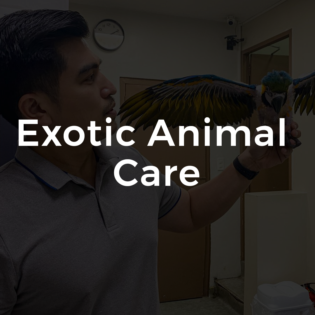 Doc Ferds Animal Wellness Center